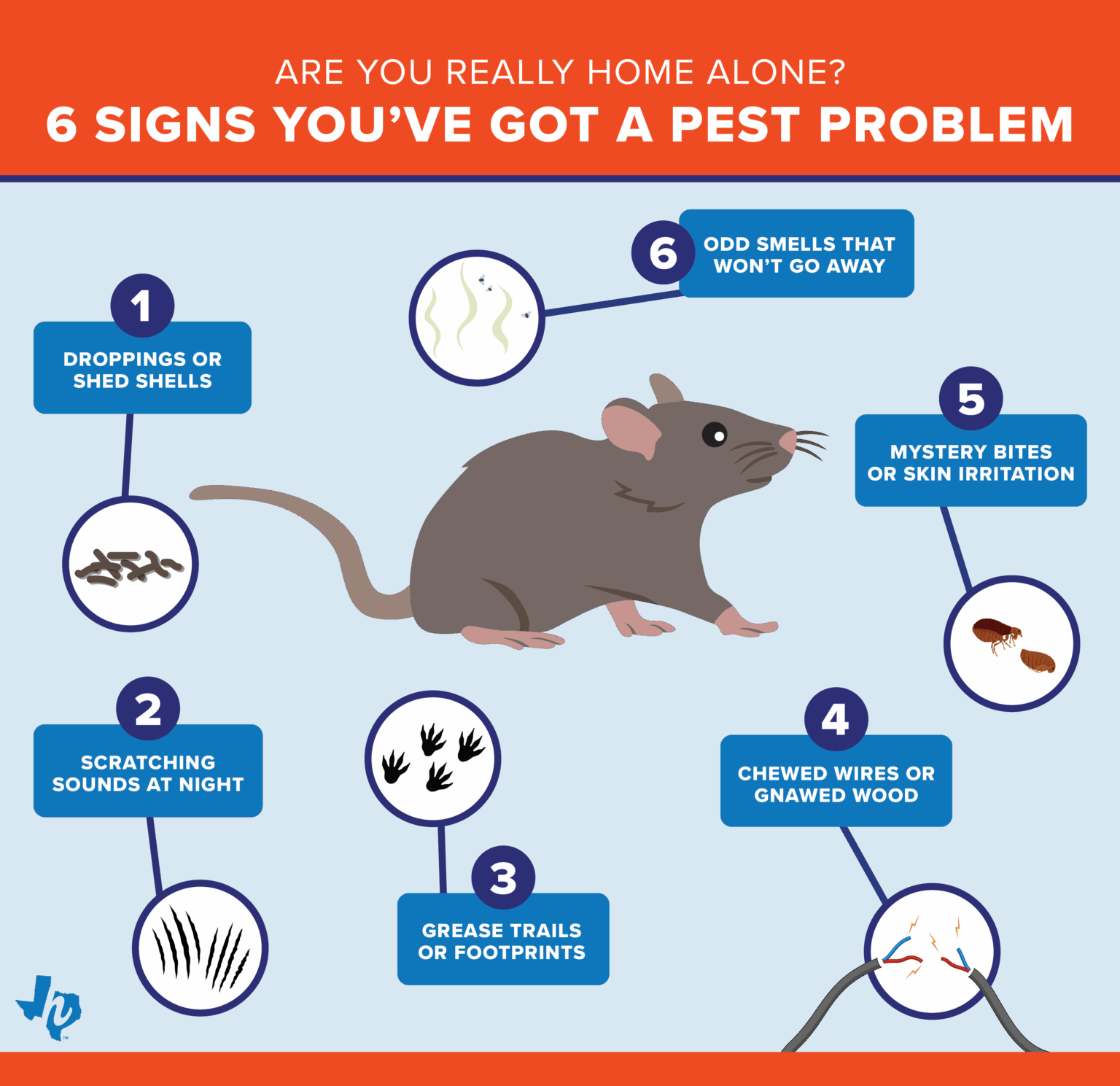 Block Pest Infestation In Your Crawl Space | G.L. Hunt Foundation Repair