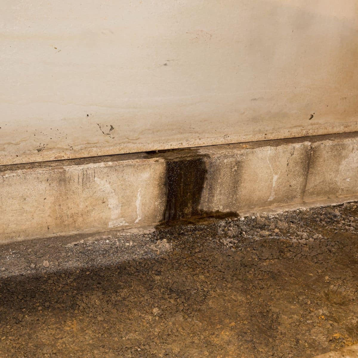 Water Damage Repair For Crawl Spaces In Texas | G.L. Hunt Foundation Repair
